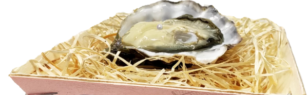 Stridia Perlieră – Delicatesă Excepțională cu Perlă Naturală